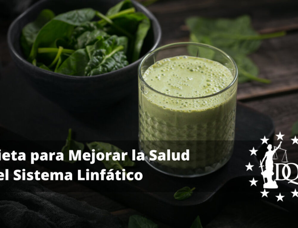 ¿Qué es el Plato de Harvard?