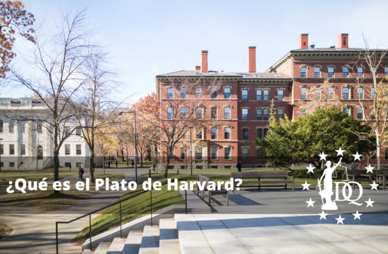 ¿Qué es el Plato de Harvard?