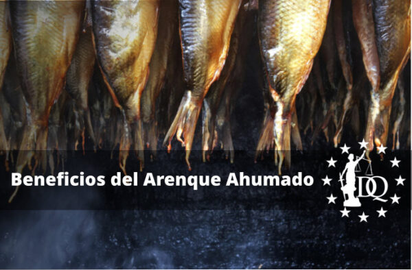 Beneficios del Arenque Ahumado | Máster en Nutrición Online