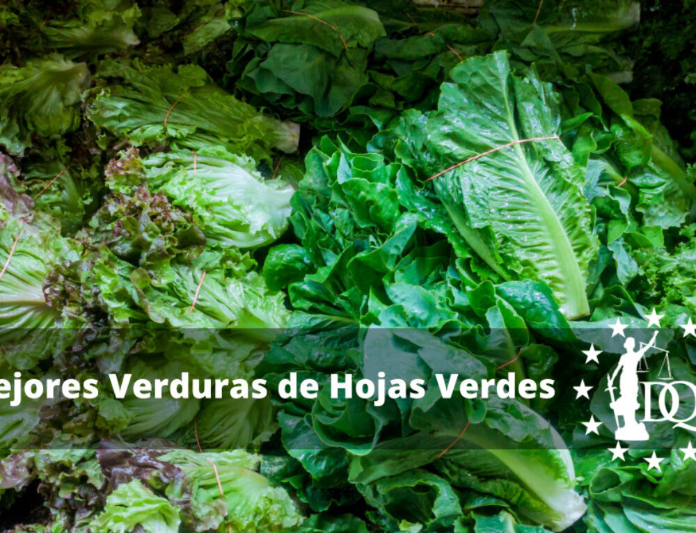 Tipos de Aditivos Alimentarios